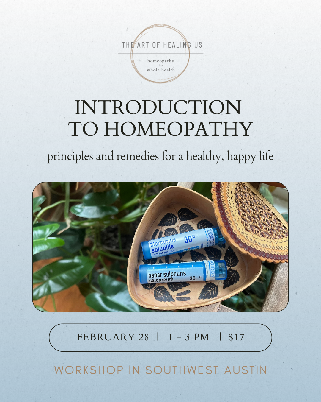 Intro to Homeopathy – Stitch and Stone